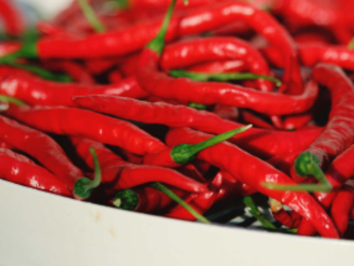 Consejos Para Plantar Pimientos Verdes